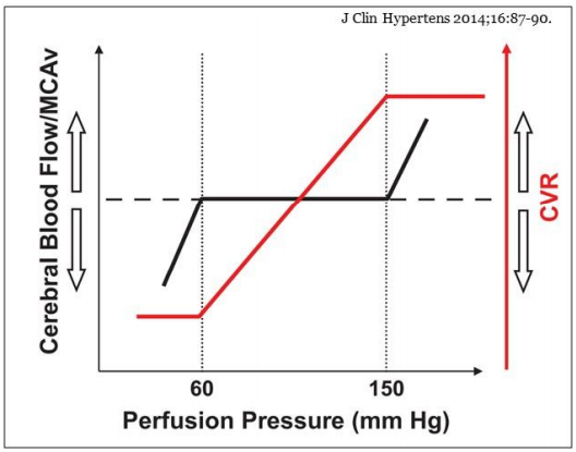 ¿Hay una curva J en el Cerebro? – Red Federal Corazón Cerebro